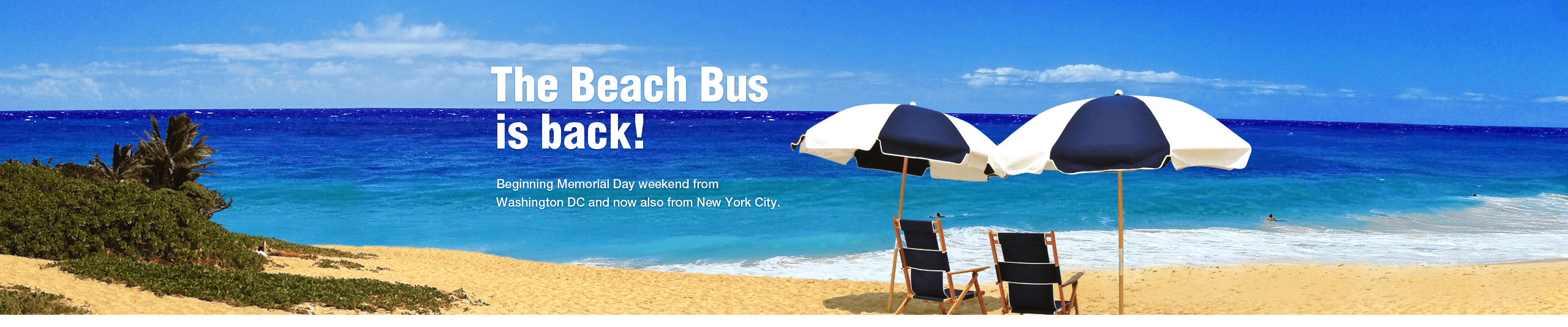 Bus to New York City from Washington DC – Non-Stop Bus from DC to NY